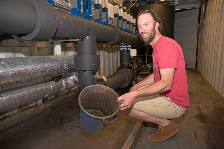 Husdyrgjødsel + fiskeslam = biogass - Nibio